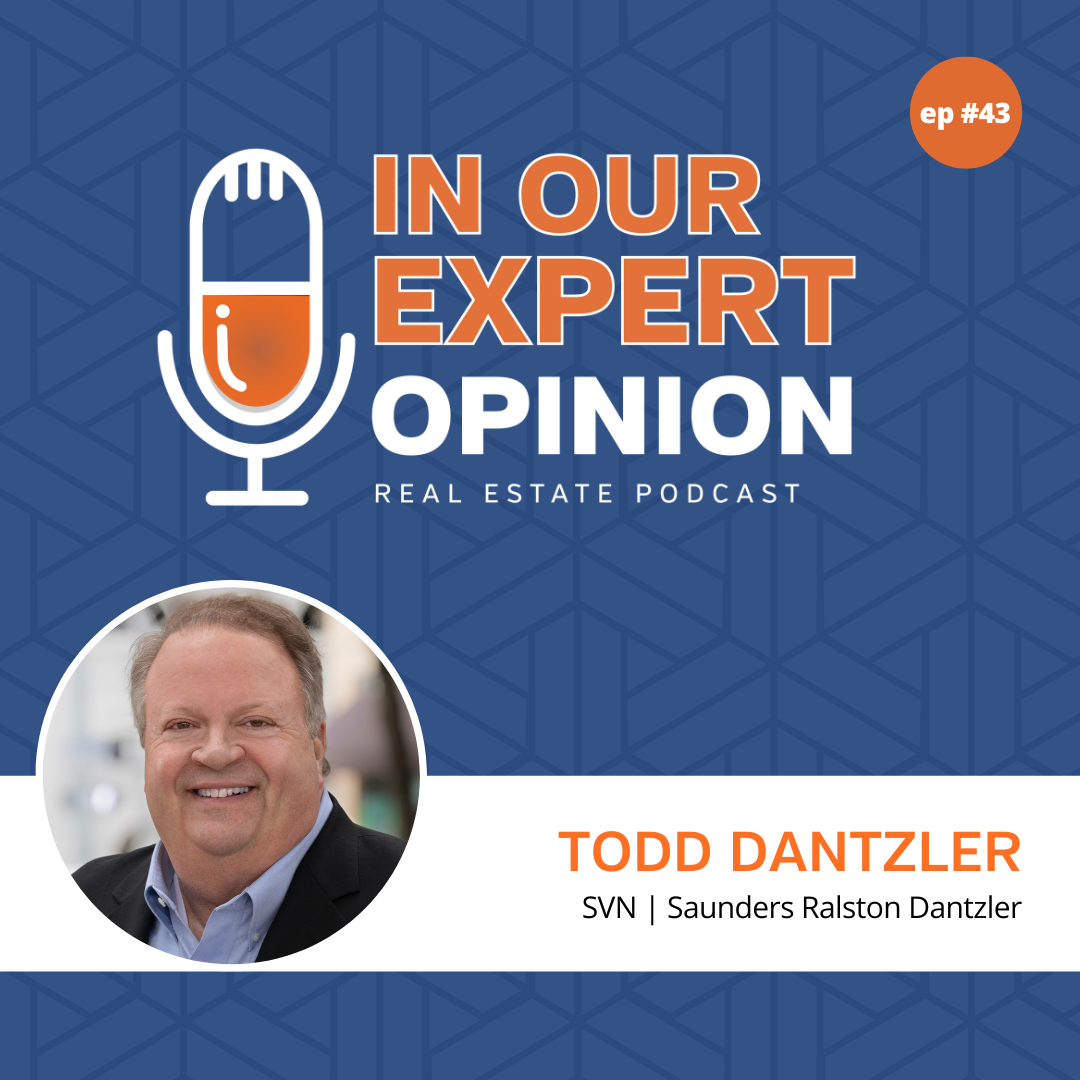 Todd Dantzler Announces Todd's Podcast | In Our Expert Opinion
