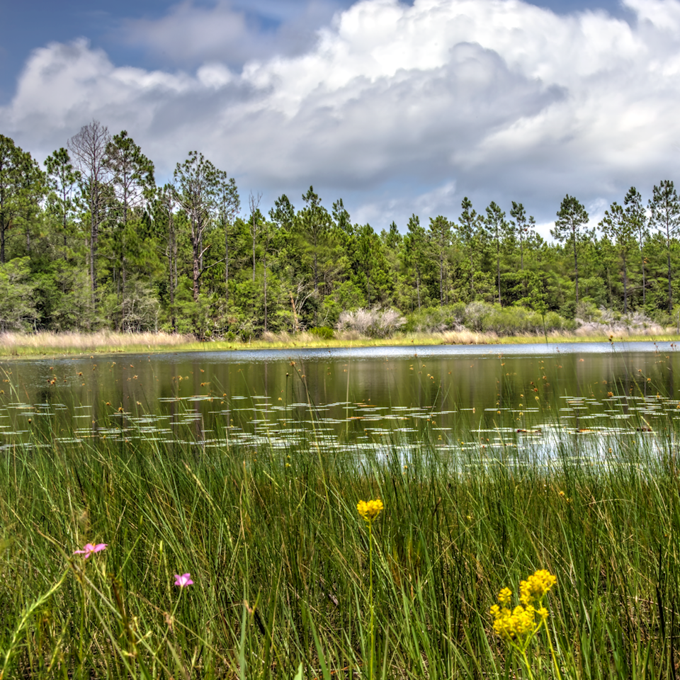 Dean Saunders is the 2022 President of RLI | SVN Saunders